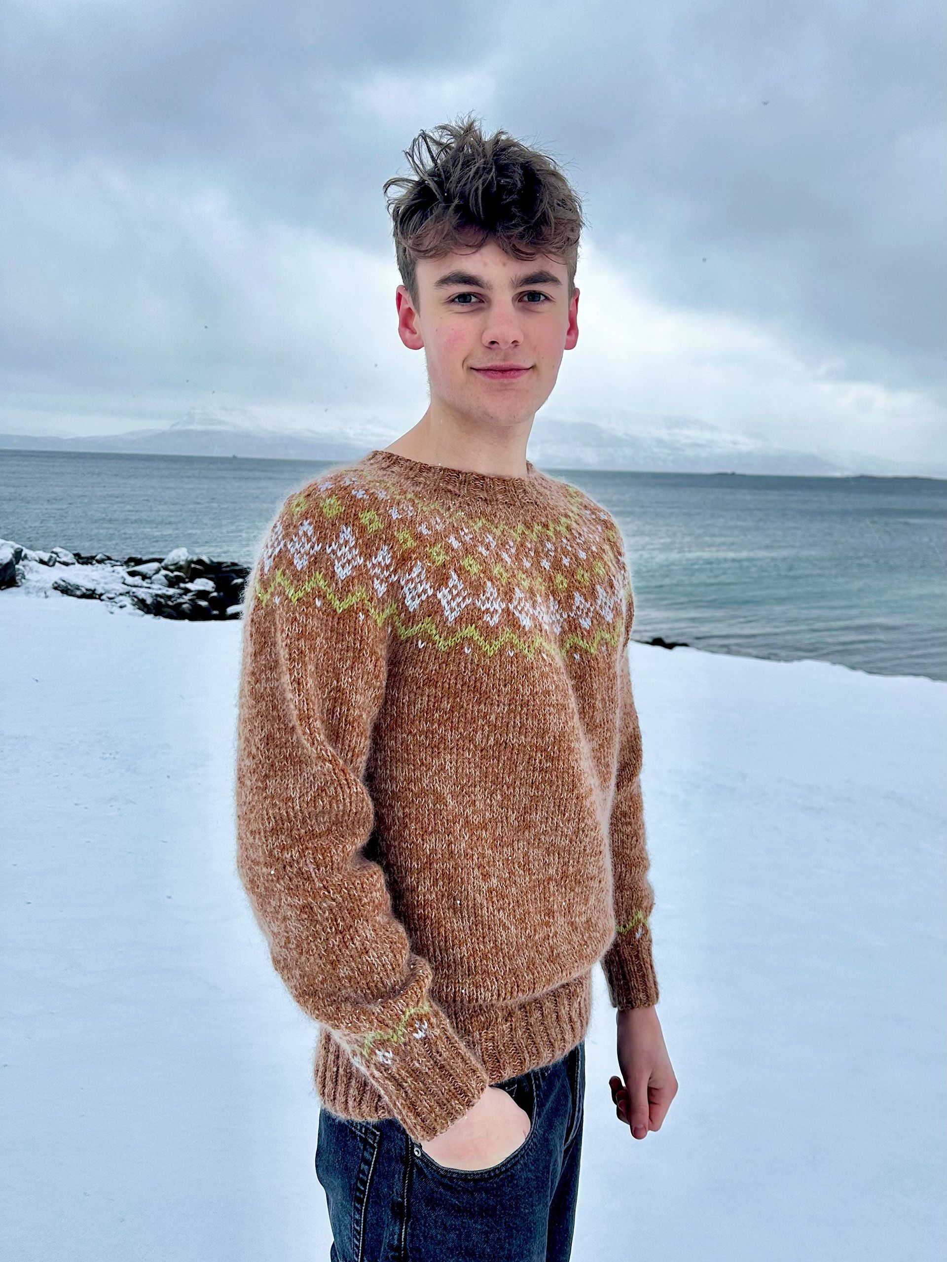 521E-01b Benjamin sweater - Garnius - Garnius.dk